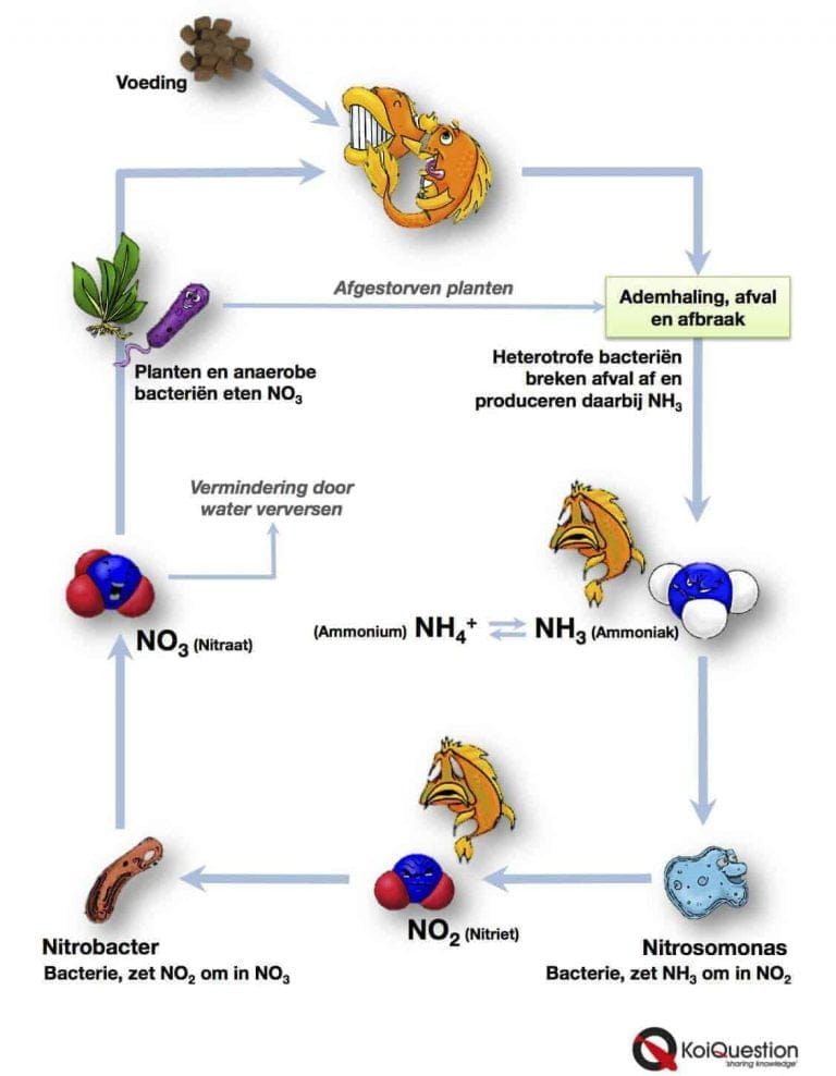 Stikstofkringloop – The Pond Library